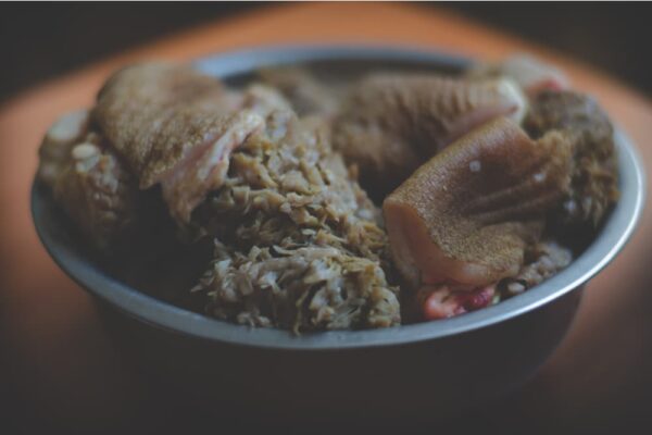 Green Tripe for Dogs: Everything You Need to Know | Great Pet Care