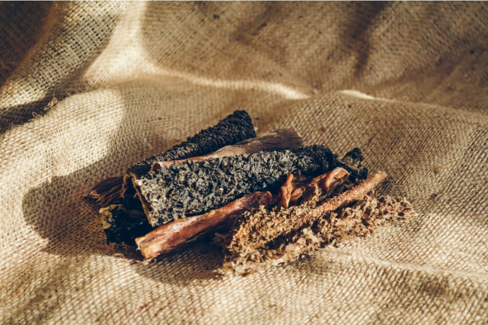 Green Tripe for Dogs: Everything You Need to Know | Great Pet Care