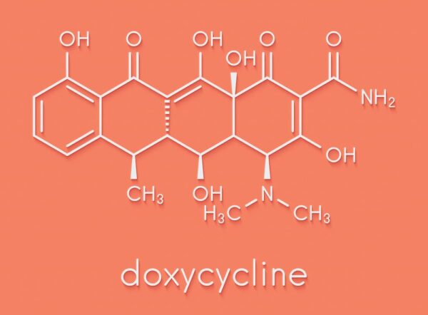 Doxycycline for Cats | Great Pet Care