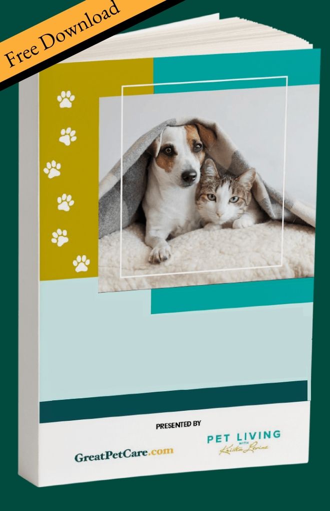 Bloat in Dogs | Great Pet Care