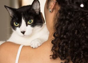 Cat Trilling: Why They Do It and What It Means | Great Pet Care