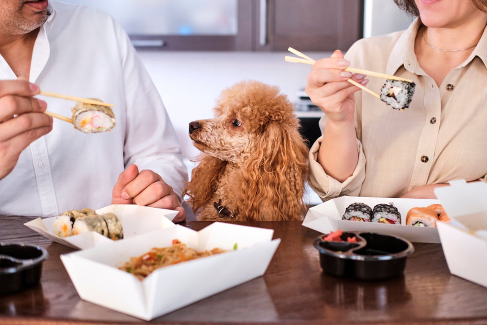 Cute Asian Food Names For Pets Mavieetlereve Cute Asian Food Names For Pets Mavieetlereve