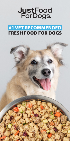Aflatoxin in Dog Food: What You Need to Know | Great Pet Care