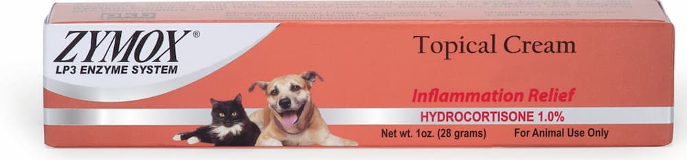 7 Easy Ways to Manage Yeast Infections in Dogs | Great Pet Care